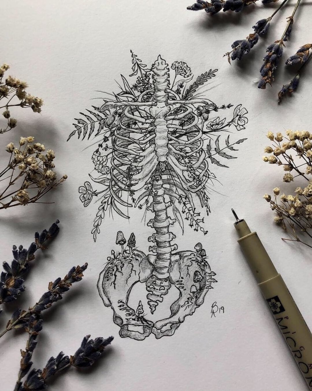 Beauty From Decay- Skeleton Flower Wall Decor Fine Art Print - Etsy