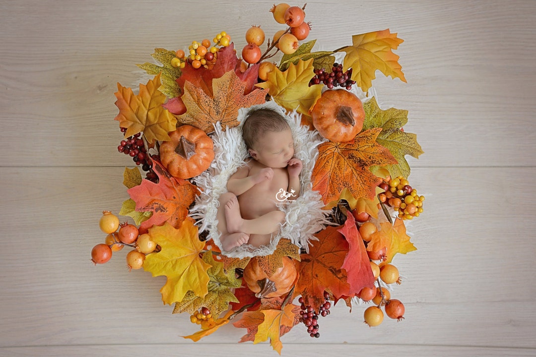 Autumn Digital Backdrop Fall Thanksgiving Download Wreath Leaves ...