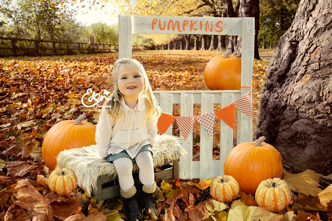 Digital Download Fall Autumn Backdrop Background Pumpkin Stand Orange ...