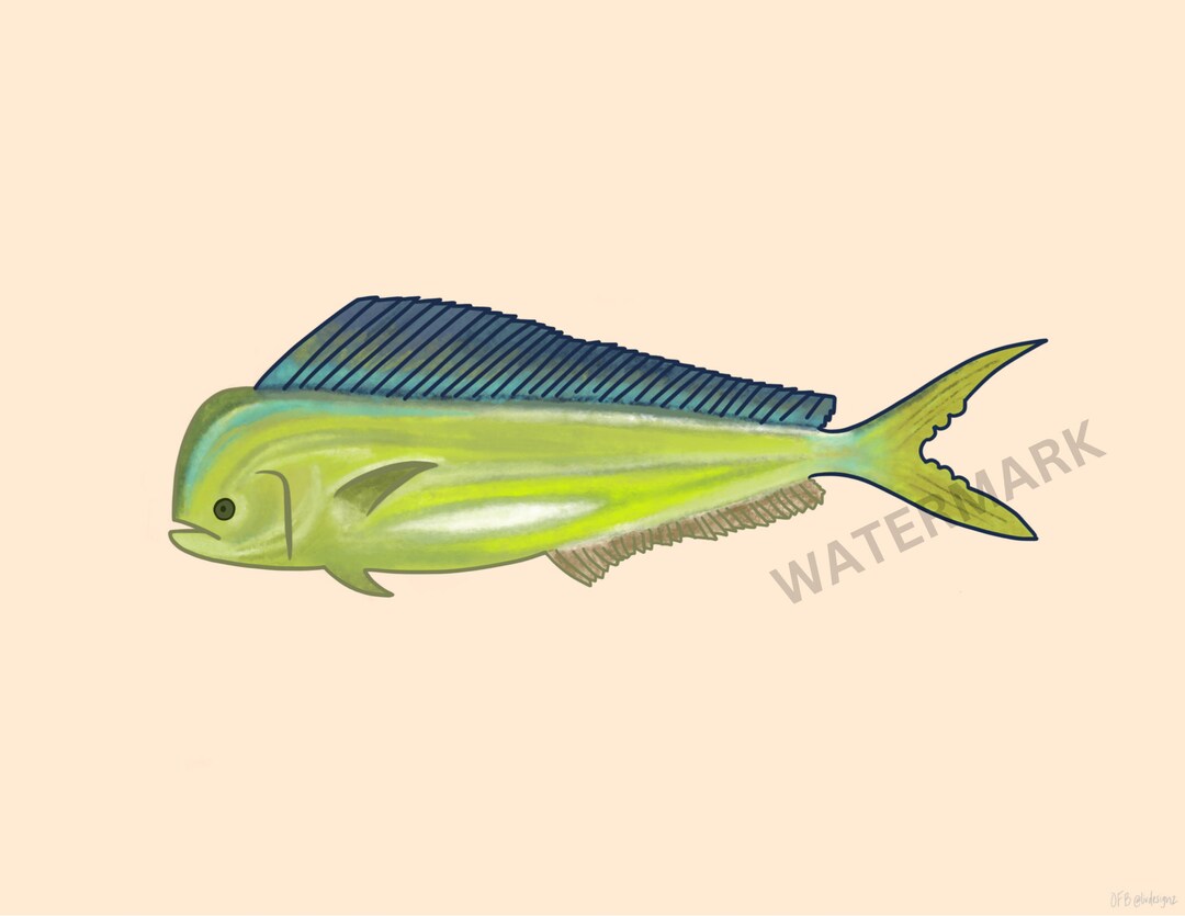 Mahi Mahi Digital Print - Etsy