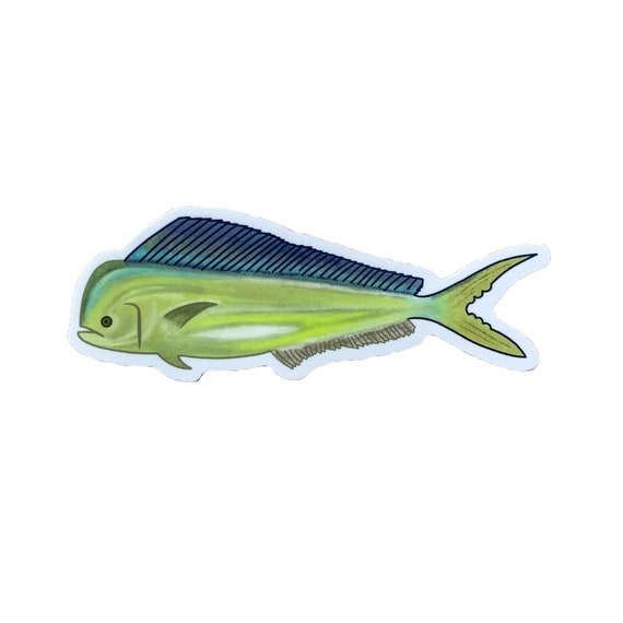 Mahi Mahi Fish Sticker - Etsy
