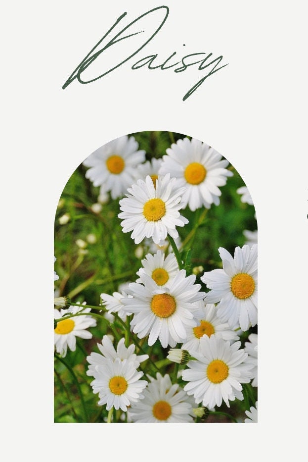 Daisy Cheat Sheet - Etsy