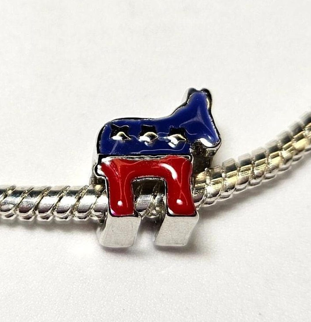 Democratic Party Charm, Donkey Party, Political Party Charm, Democratic ...