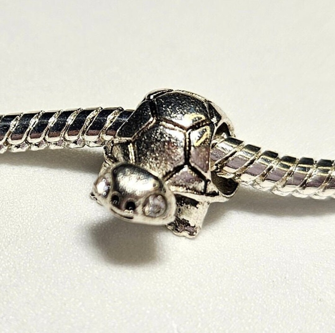 Turtle Charm, Box Turtle Charm, Tortoise Charm, Painted Turtle Charm ...