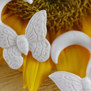6mm White Butterfly Plugs 2 Gauge Carved Bone Butterfly - Etsy