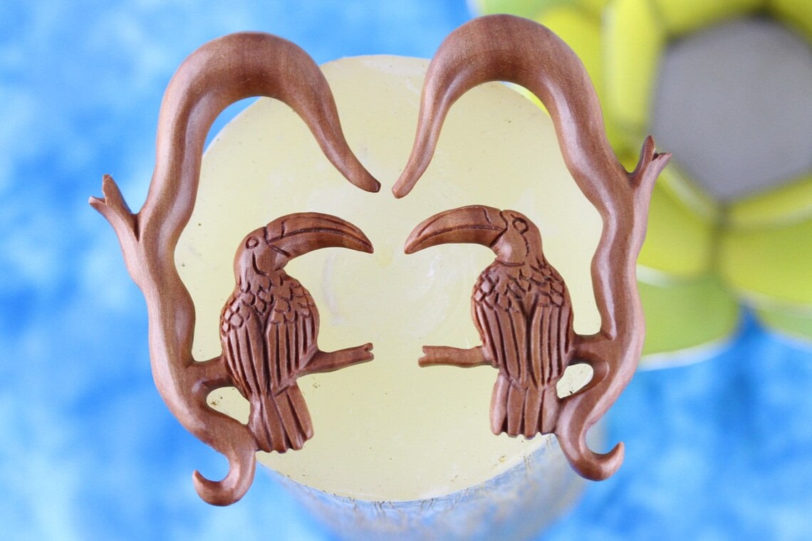 Toucan Wood Hanging Plugs Hanger Bird Plugs Carved Wood - Etsy