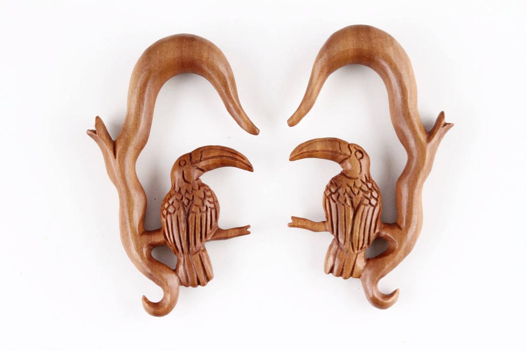 Toucan Wood Hanging Plugs Hanger Bird Plugs Carved Wood Toucan Plugs ...