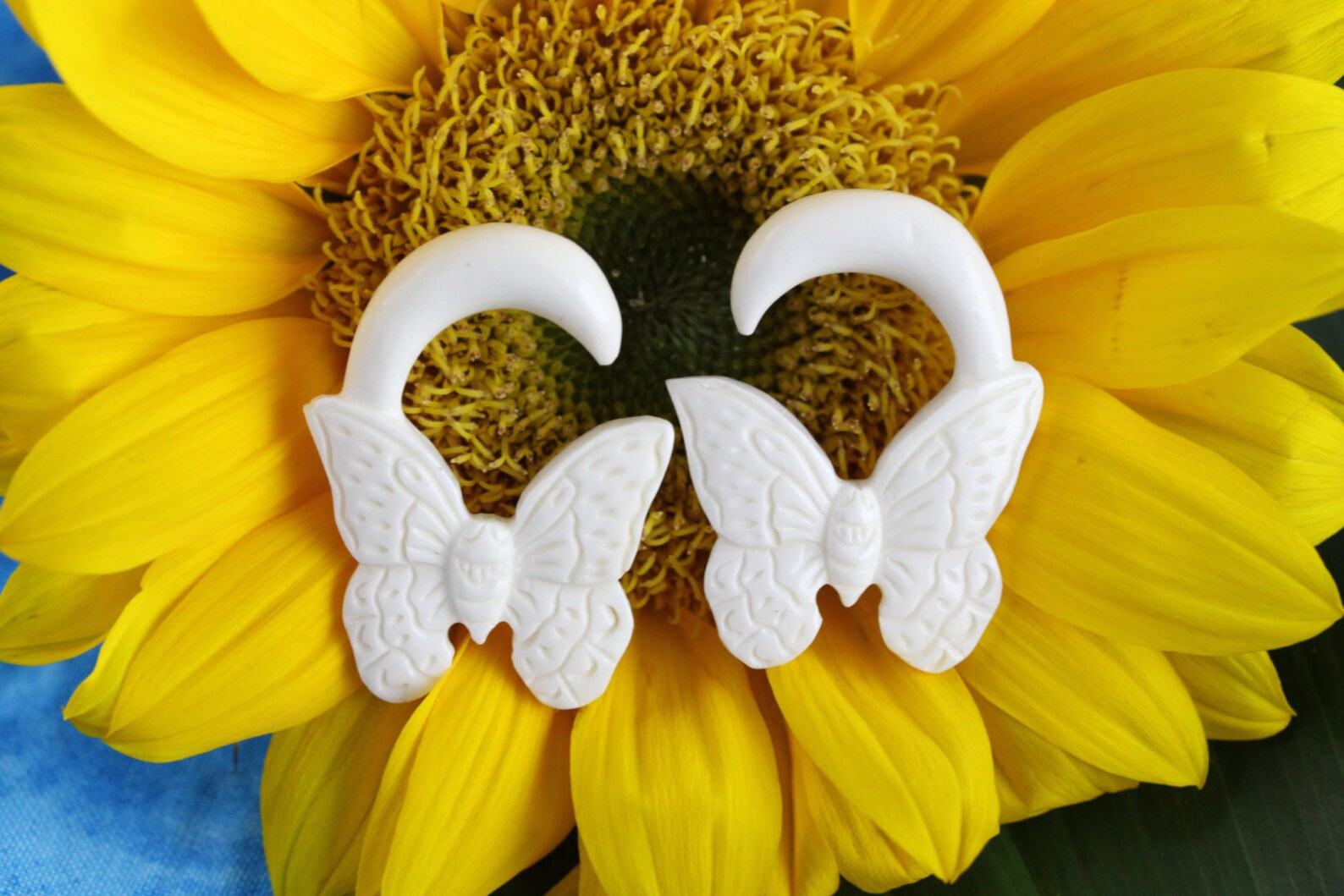 6mm White Butterfly Plugs 2 Gauge Carved Bone Butterfly - Etsy