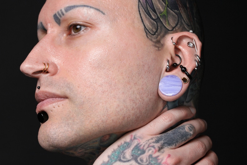 Lace Blue Agate Stretch Plugs - Double Flair Stone Plugs (pair) - PH05 ...