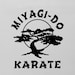 Miyagi-do Karate Wall Decal Sticker Stencil Cobra Kai Kid Movie Dojo ...