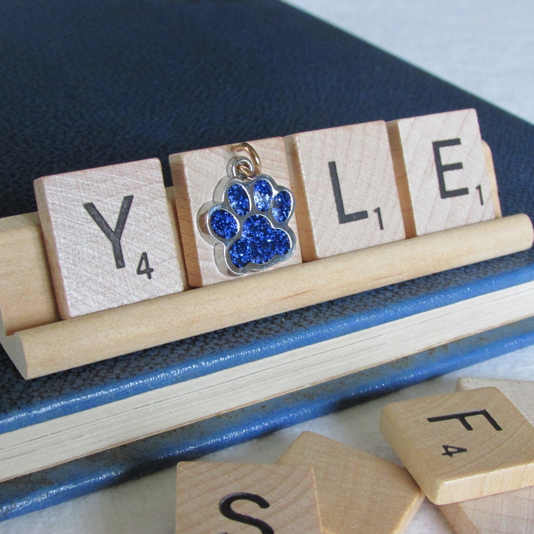 YALE Sign / Yale University, New Haven, CT / Yale Bulldogs / Dorm ...