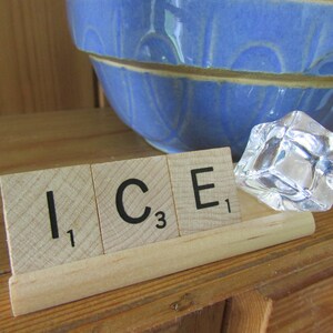 ICE Cube Sign Small Wooden Bar Saying With Cute Little Fake Ice Cube ...
