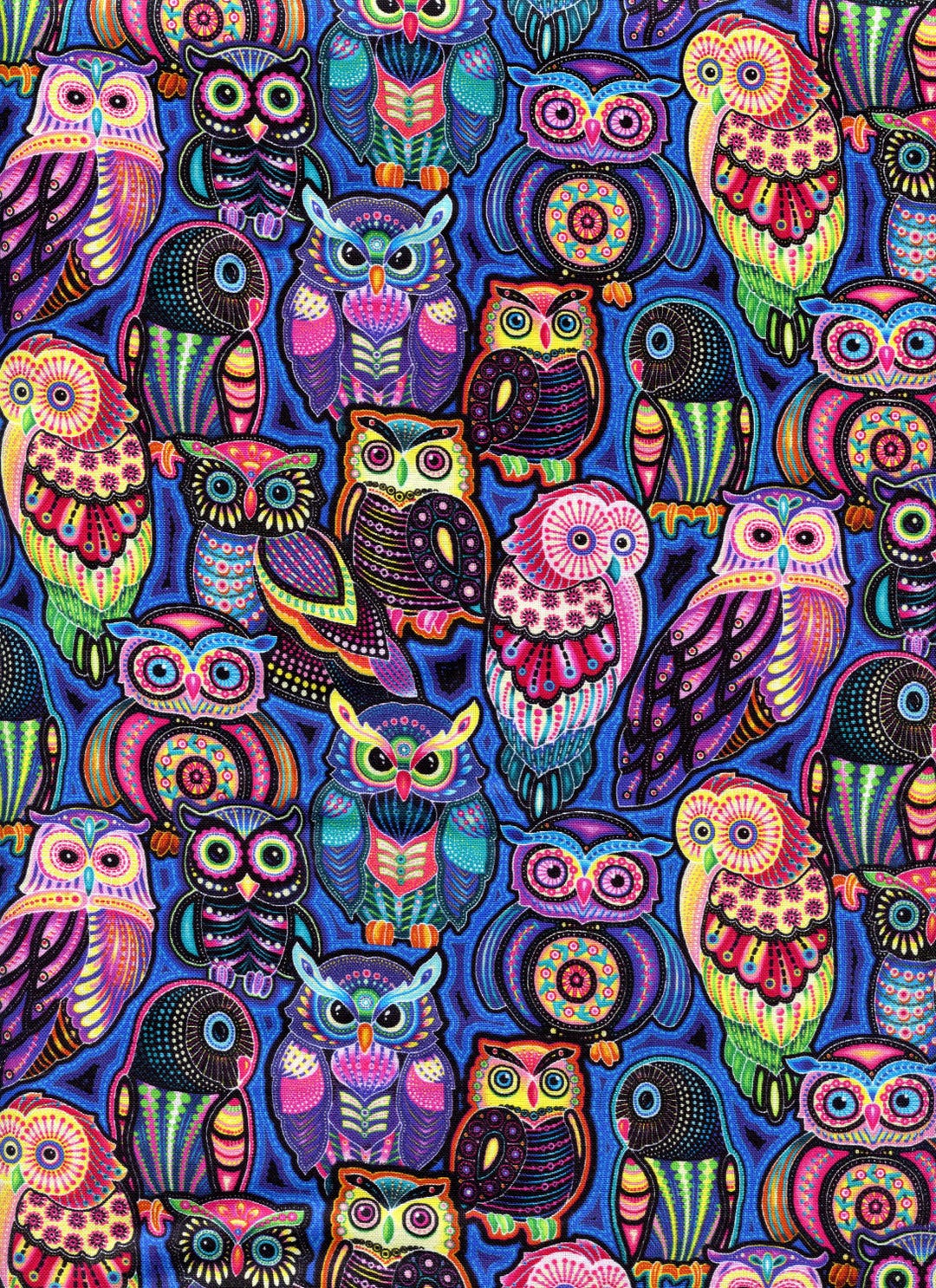 Stacked Owls Sahul Land Oasis Fabric Cotton Fabric OA-596961 Blue, by ...