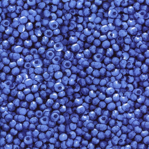 Blueberry Fabric - Etsy