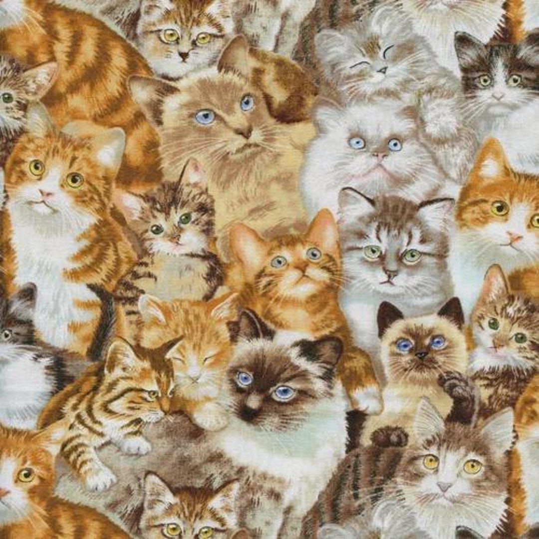 Petpourri Kittens Cats Elizabeth's Studio Sewing Cotton Fabric 1253 ...