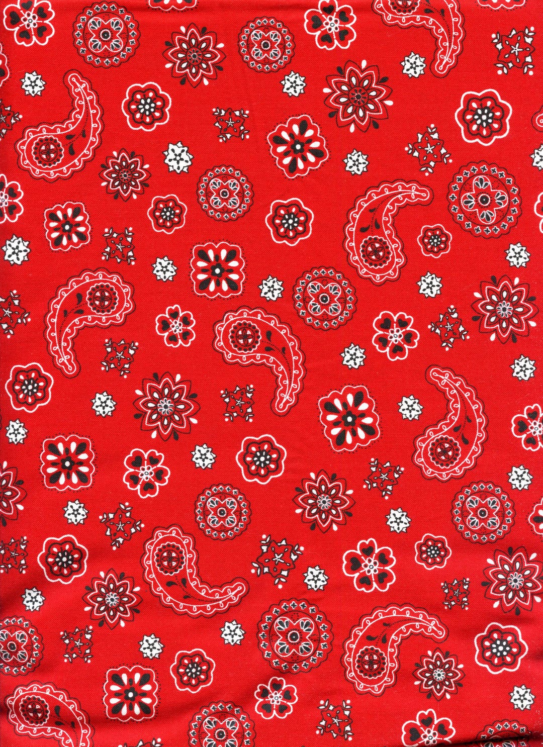 Paisley Bandana Timeless Treasures Cotton Fabric West-c8825 Red, by the ...