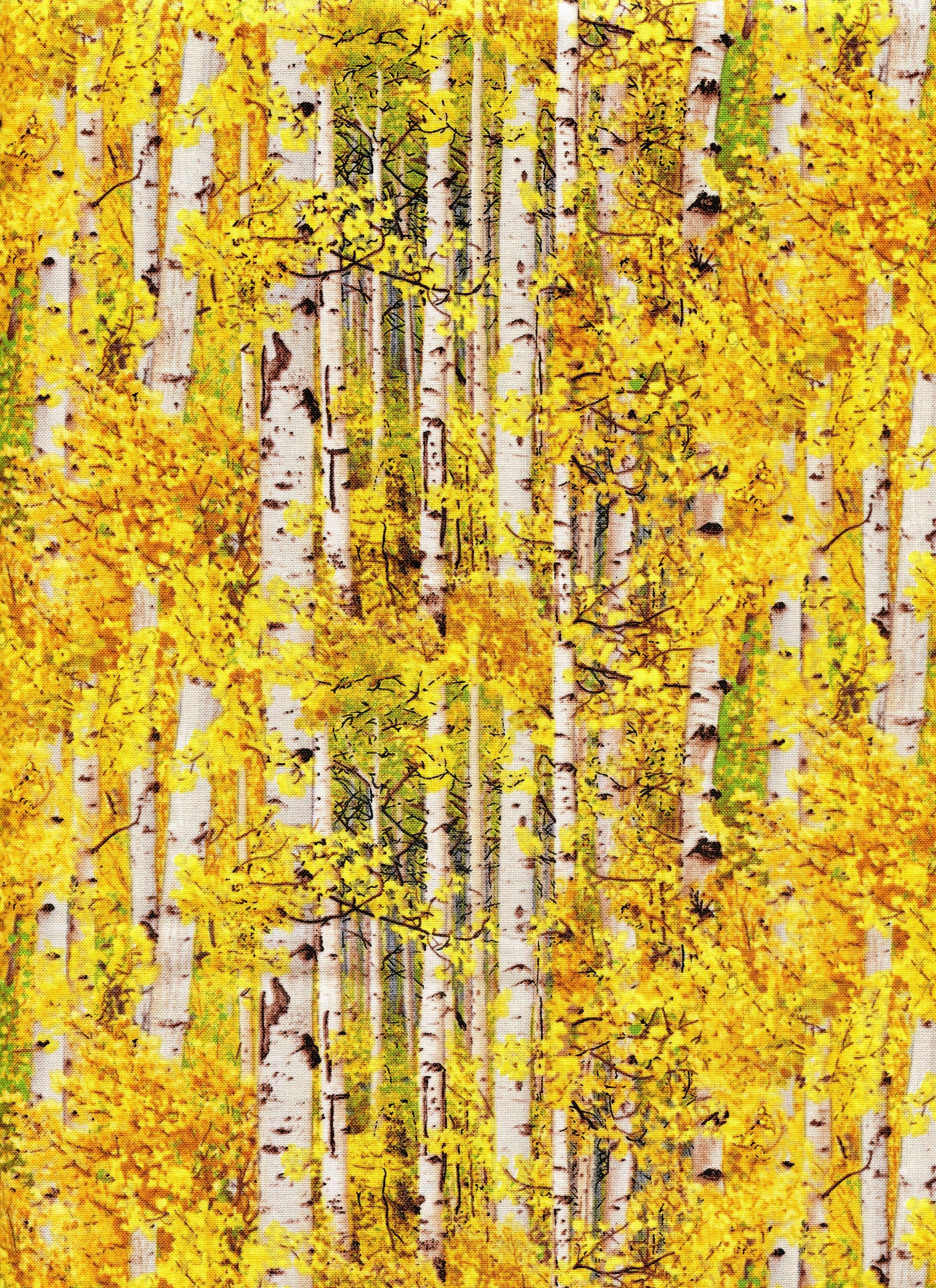 Aspen Trees Landscape Medley Elizabeth's Studio Cotton Fabric 491 Gold ...