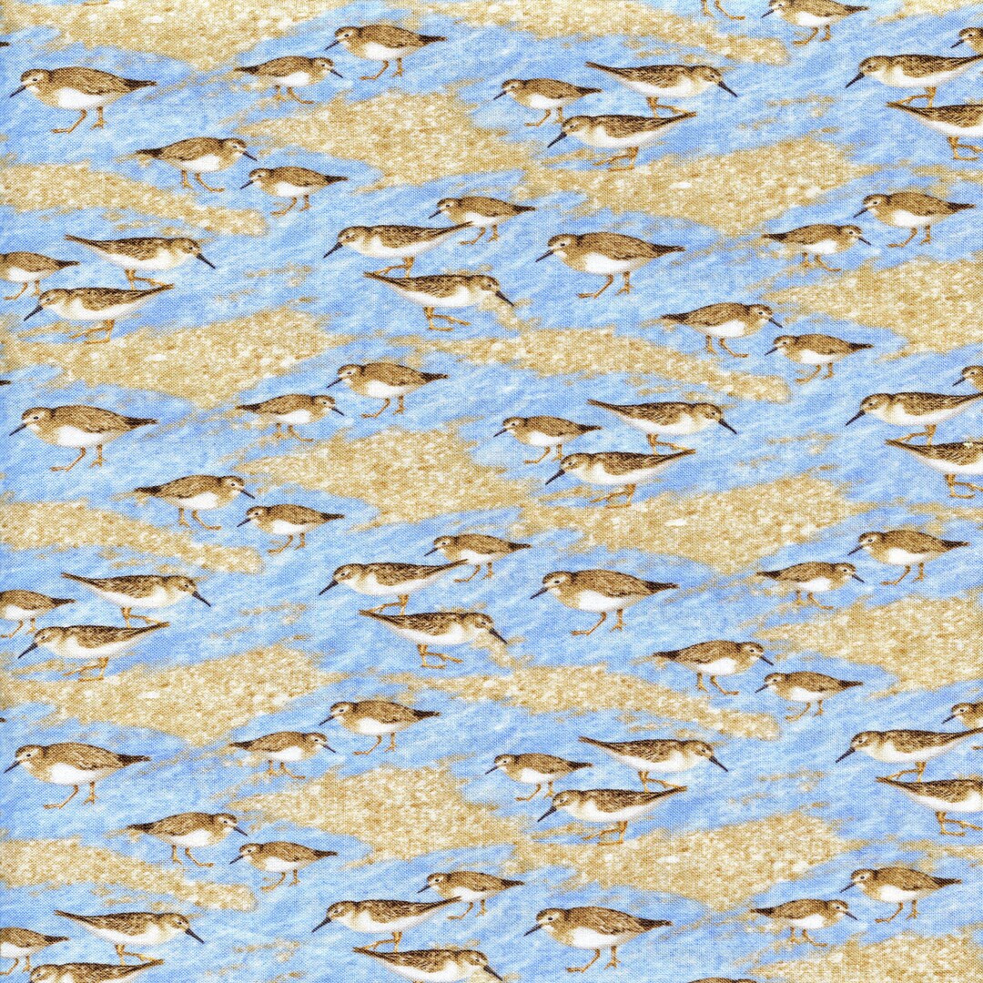 Beach Birds Wade & Sea Blank Textiles Cotton Fabric B-9528-41 Sand, by ...