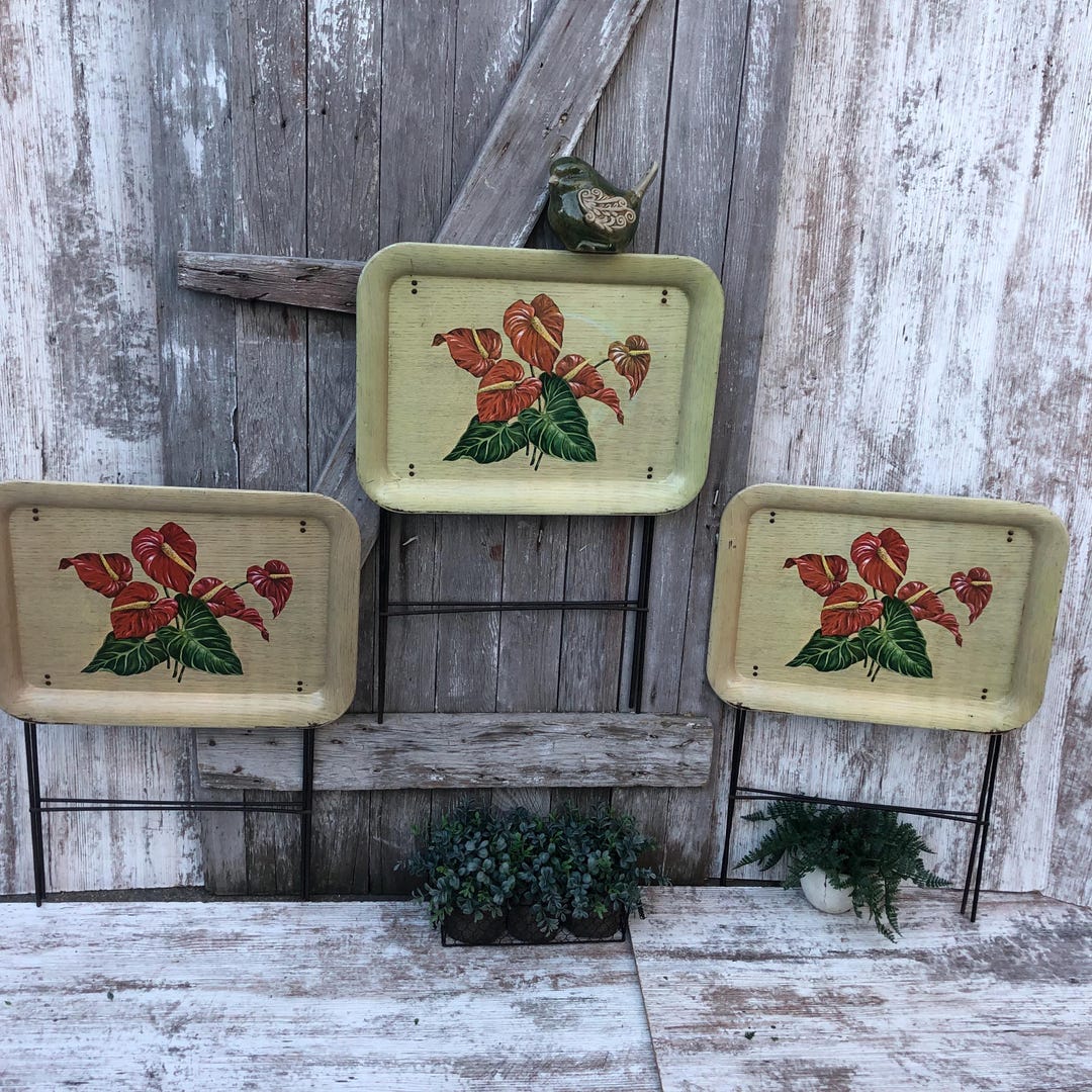 3 Metal TV Trays Black Company Anthurium Floral Metal Clips Includes ...