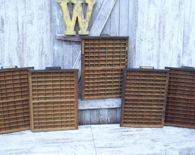 Hamilton Printers Drawer Letterpress Tray Wood Sections Display ...