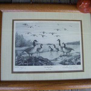 Richard Van Order the Meeting Place Canadian Geese Pencil Signed ...