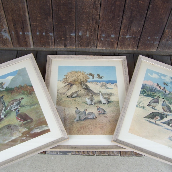Lynn Bogue Hunt - Etsy