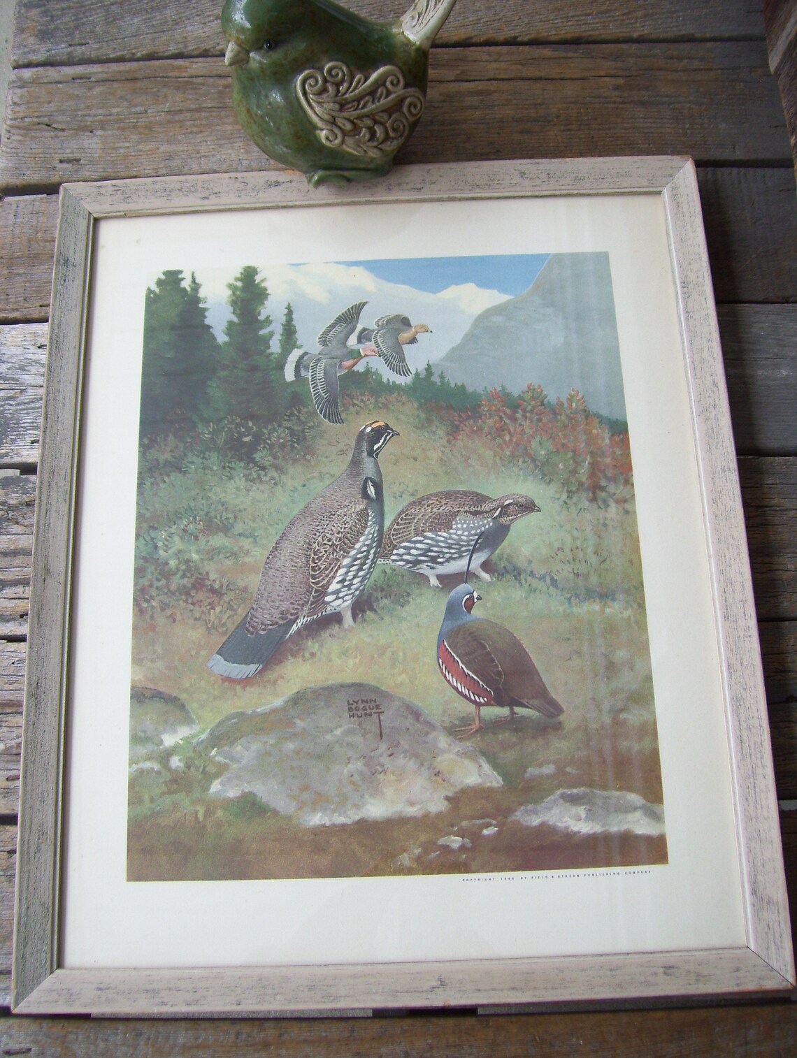 Lynn Bogue Hunt Game Birds Print Art Dated 1944 American Series Field ...