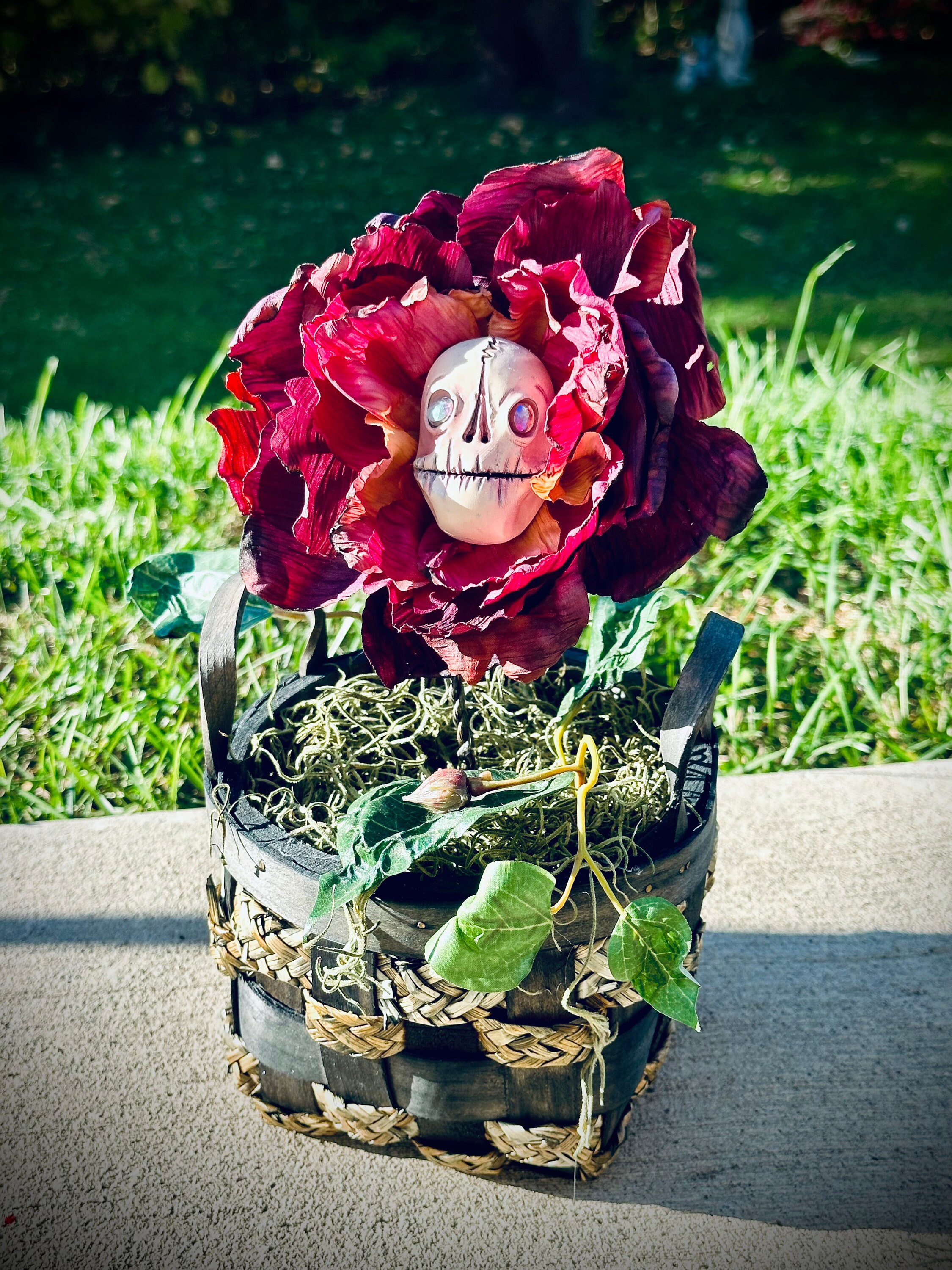 Skull Dead Daisy Skull Flower Creepy Flower Spooky Art - Etsy