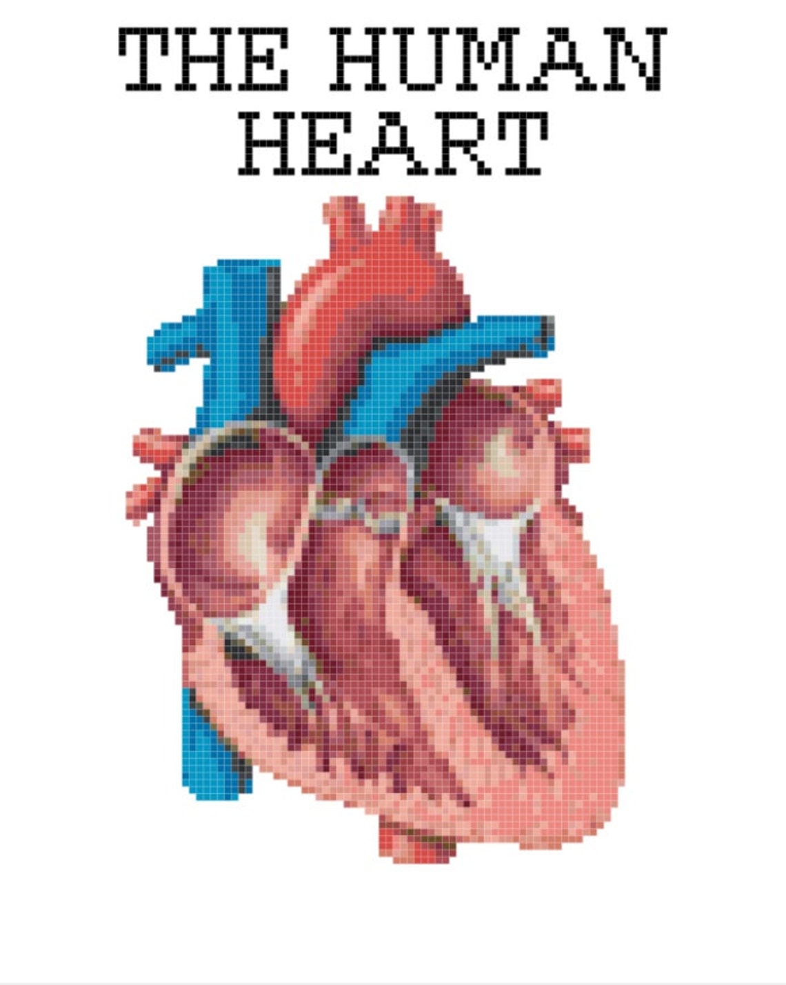 Human Heart Anatomy Cross Stitch PATTERN - Etsy Canada