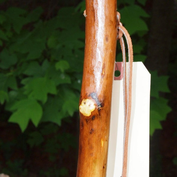 Hiking Stick - Etsy