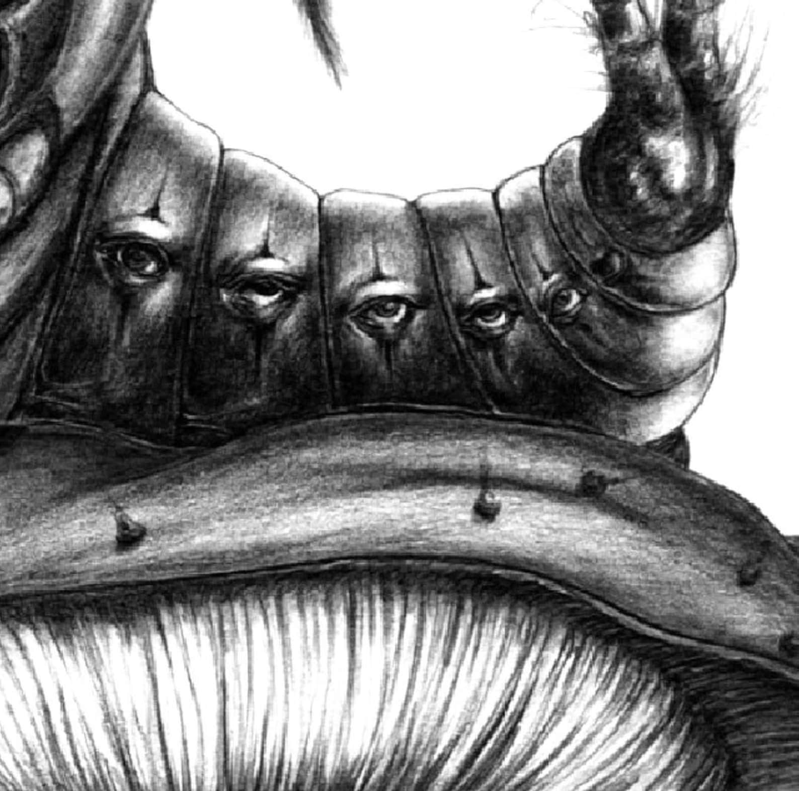 Alice in Wonderland Absolem Illustration - Etsy