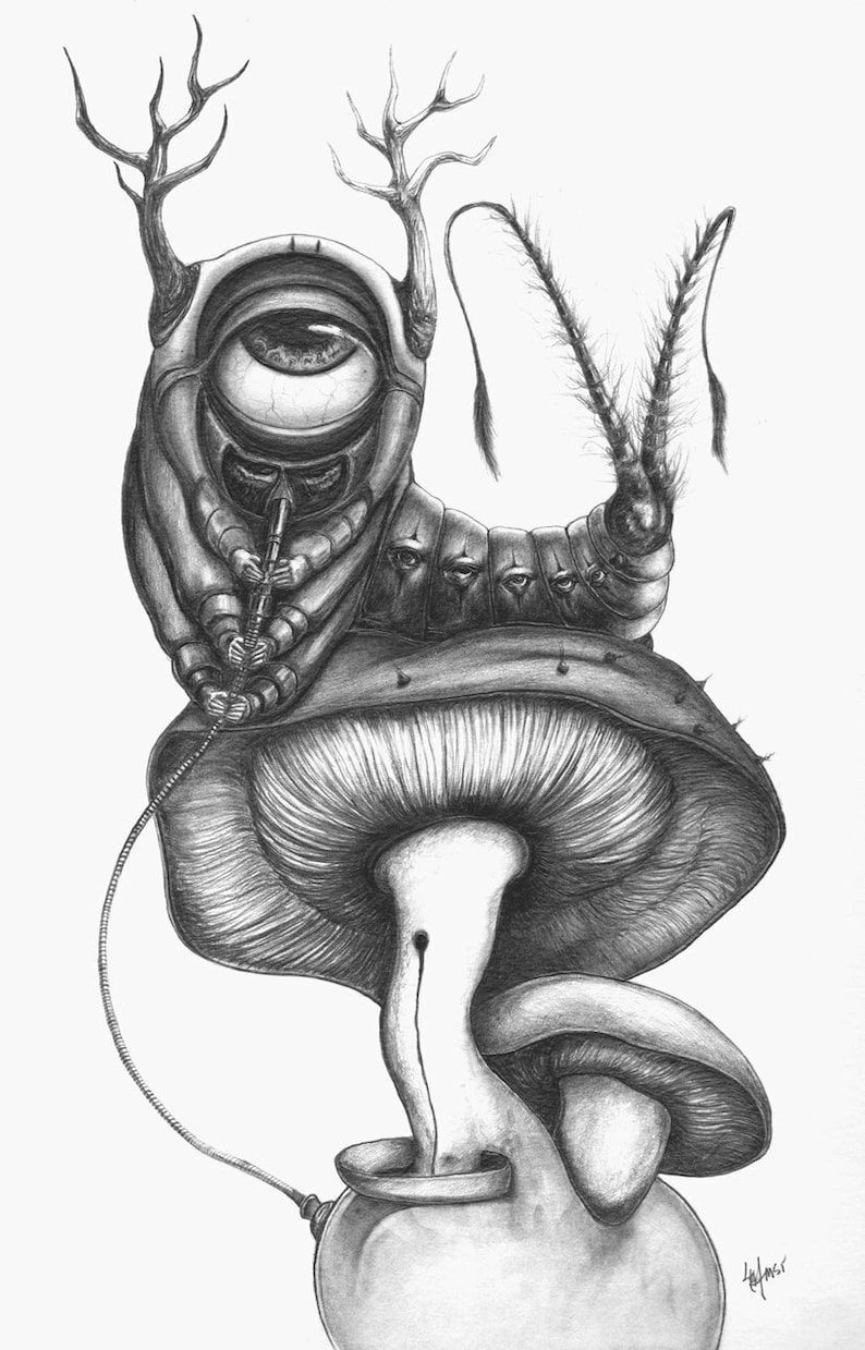 Alice in Wonderland Absolem Illustration - Etsy