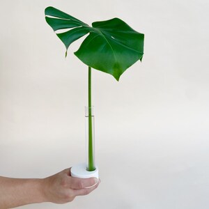 Plant Propagation Vessel 8.5in // Handmade Ceramic and Glass // Plant ...