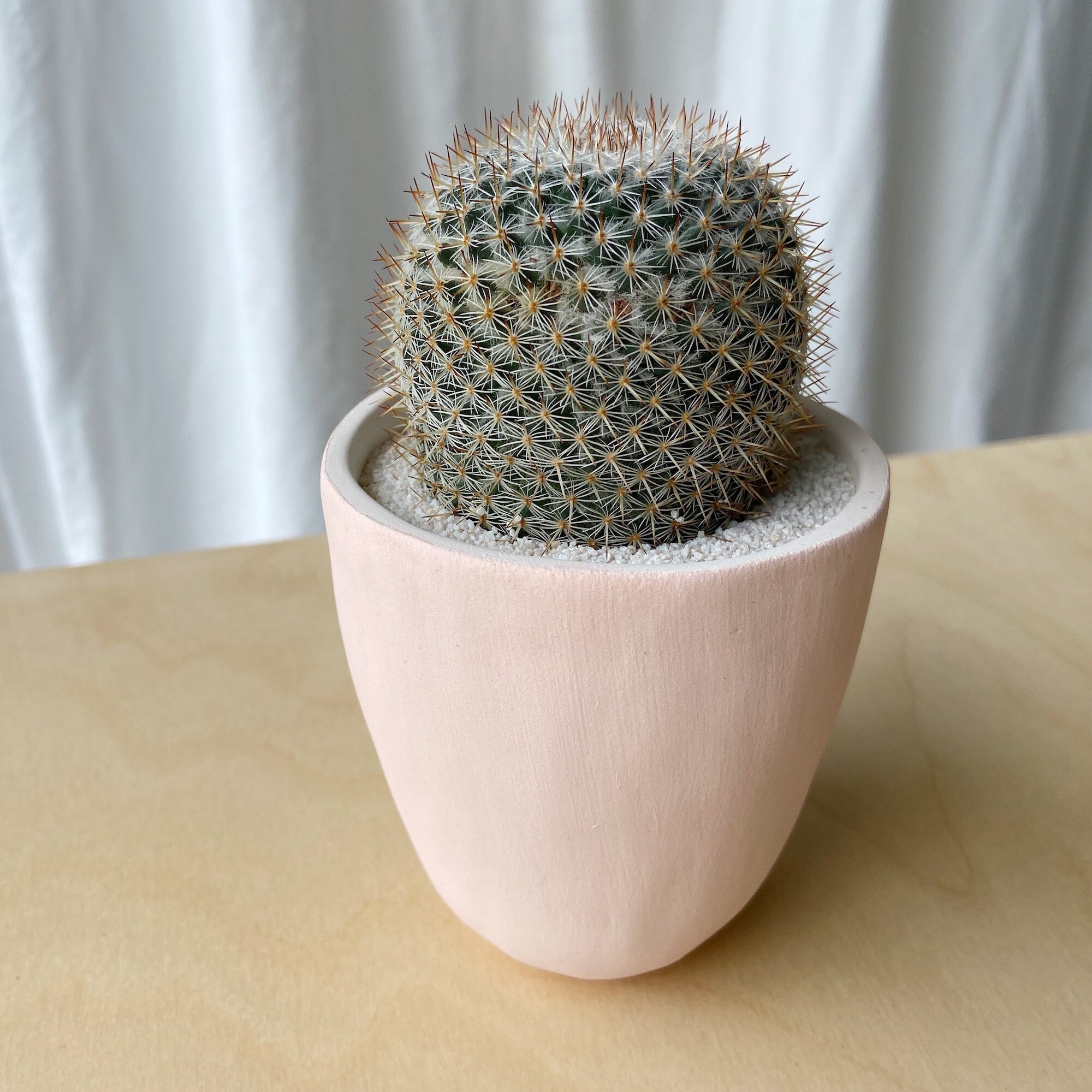 SURPRISE Weirdo-Cutie Cactus Handmade Ceramic Planter // | Etsy