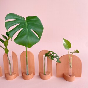 Copa Plant Propagation Vessel / Handmade Ceramic and Glass//plant ...