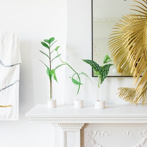 Plant Propagation Vessel 8.5in // Handmade Ceramic and Glass // Plant ...