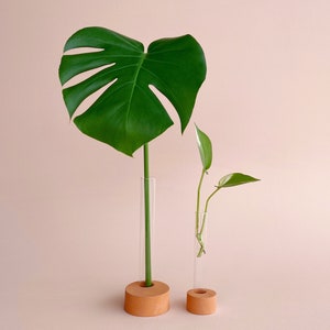 Terra Cotta Plant Propagation Vessel 6.5in / Handmade Ceramic and Glass ...