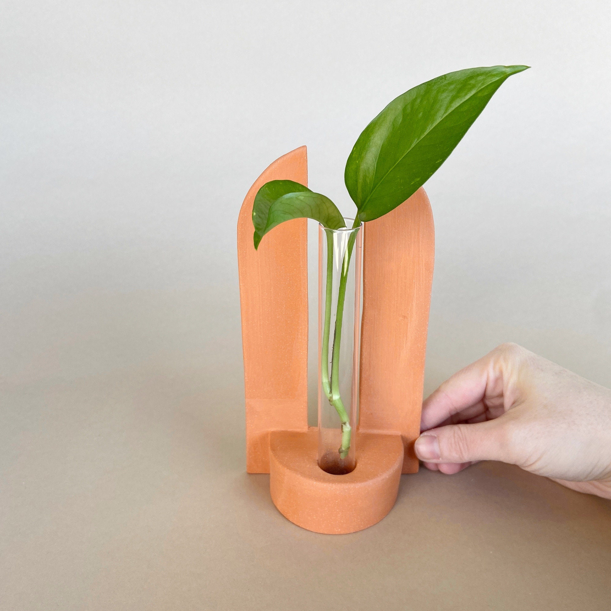 Copa Plant Propagation Vessel / Handmade Ceramic and - Etsy UK