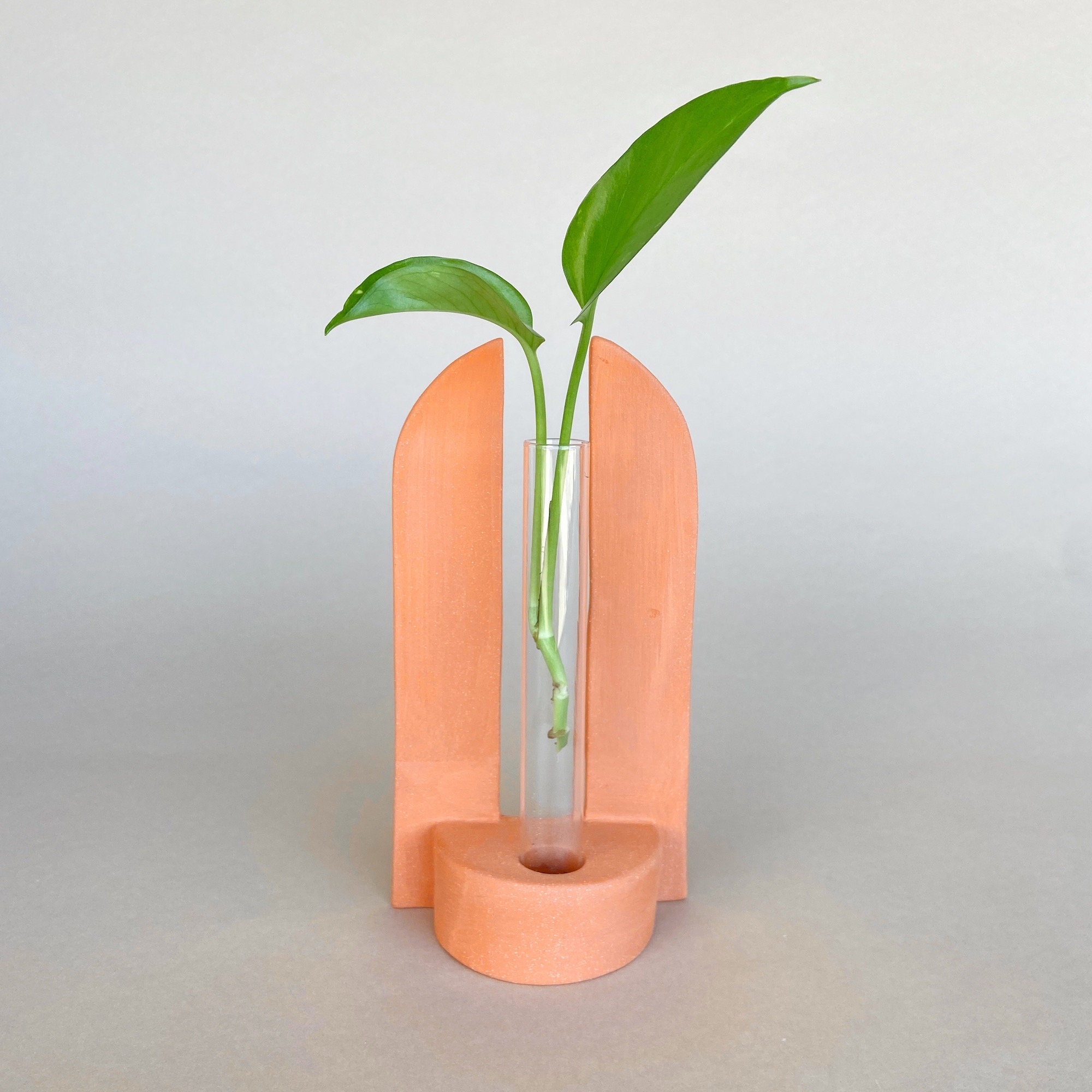 Copa Plant Propagation Vessel / Handmade Ceramic and - Etsy UK