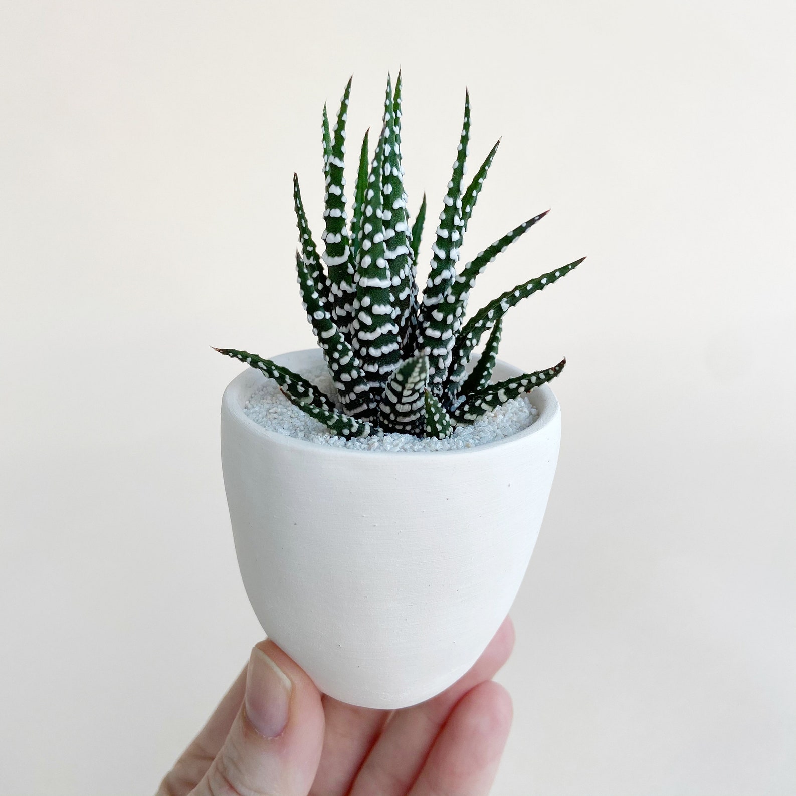 Gilbert Plant Handmade Ceramic Planter // Handmade Planter - Etsy