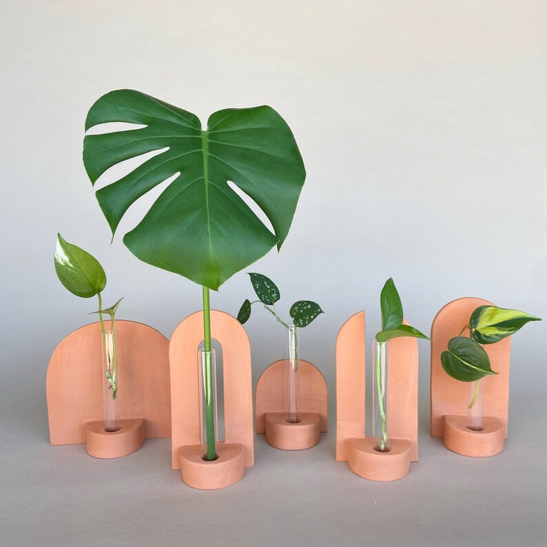 Copa Plant Propagation Vessel / Handmade Ceramic and | Etsy