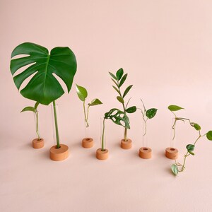 Terra Cotta Plant Propagation Vessel 6.5in / Handmade Ceramic and Glass ...
