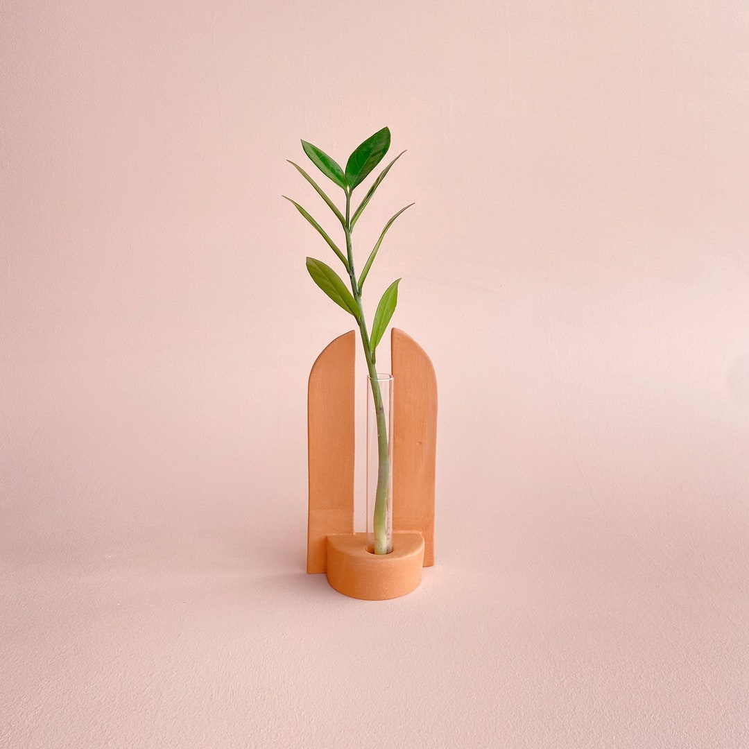 Copa Plant Propagation Vessel / Handmade Ceramic and Glass//plant ...