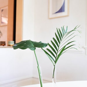 Plant Propagation Vessel 8.5in // Handmade Ceramic and Glass // Plant ...