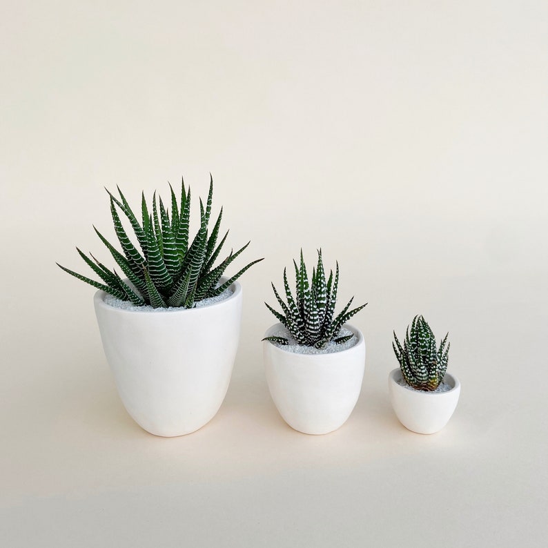 Gilbert Plant Handmade Ceramic Planter // Handmade Planter - Etsy