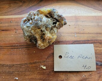 LIMITED Sustainably Harvested, Raw, Natural Pine Resin, Pine Pitch ...