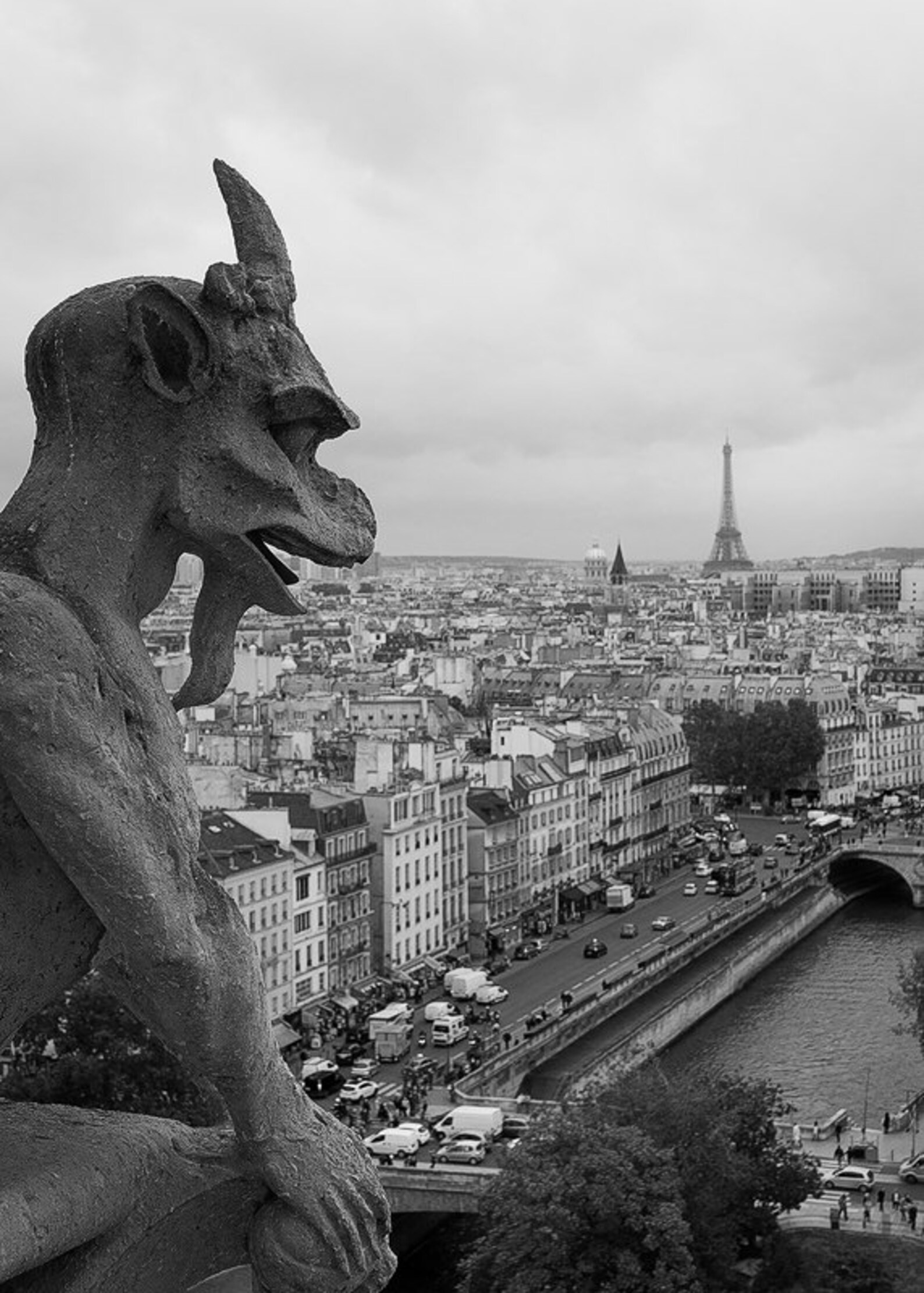 Gargoyle Wall Art PRINT Paris, France Gift Notre Dame Cathedral Gothic ...