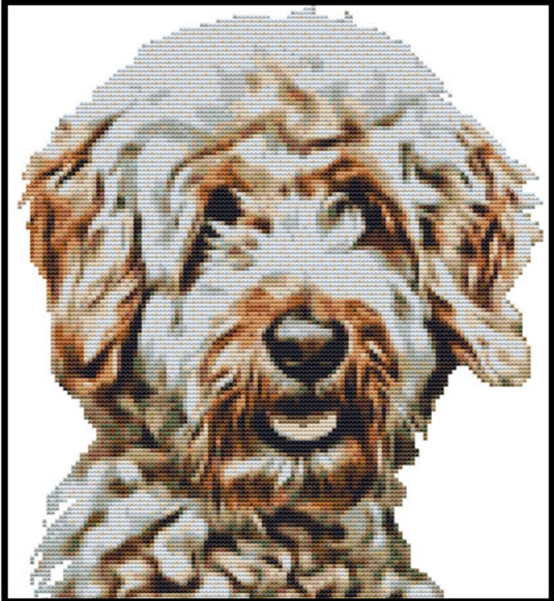 CROSS STITCH KIT Labradoodle 19cm X 23cm Full Kit or Chart Only - Etsy