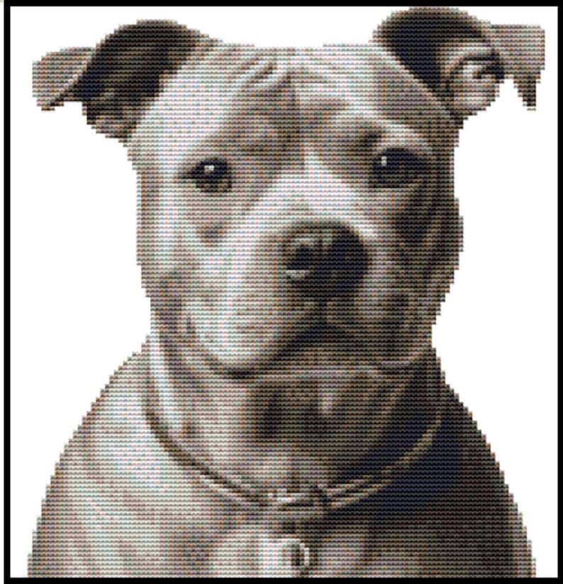 Cross Stitch Kit - STAFFY 20CM X 23CM 14 COUNT - Etsy