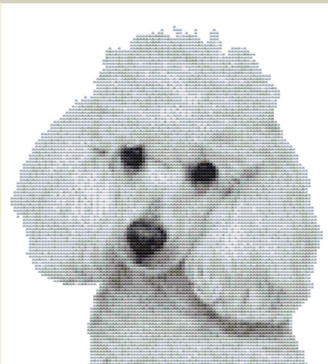 CROSS STITCH KIT- White Poodle 18cm X 20 Cm 14 Count Complete Kit - Etsy